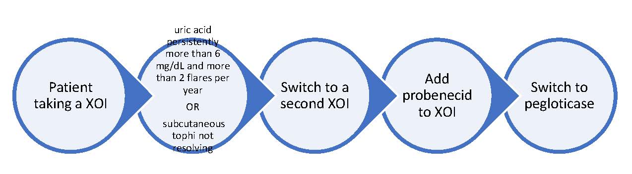 Treating Gout without Doubt | UConn School of Pharmacy