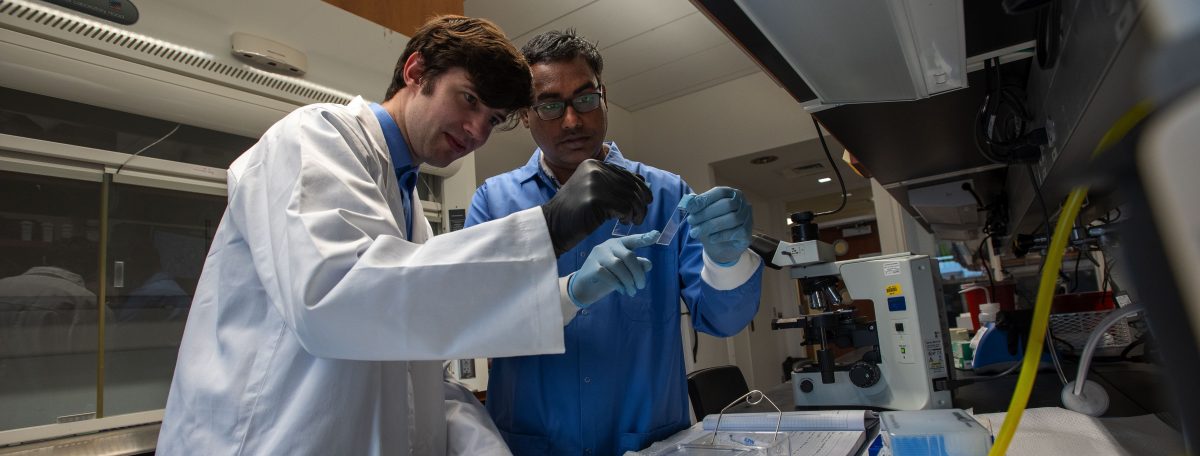 Admissions Academics | UConn School of Pharmacy